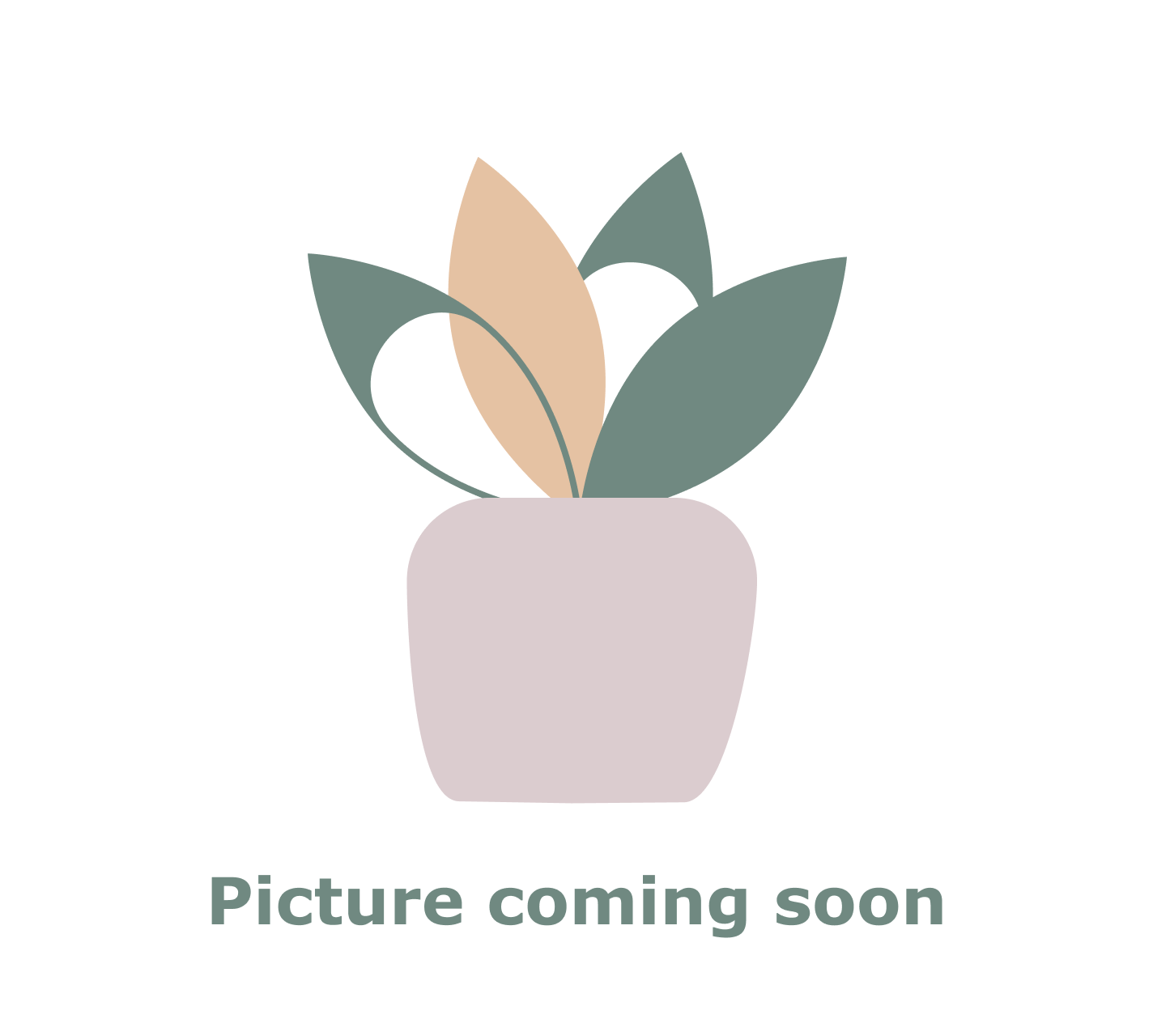 Green mix - Lundagerplants